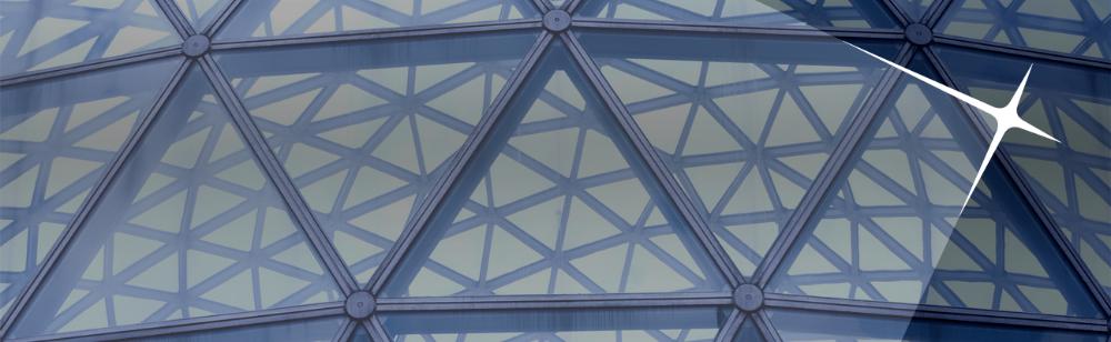 Reduce Costs and Manage Risks with Multilateral Payment Netting