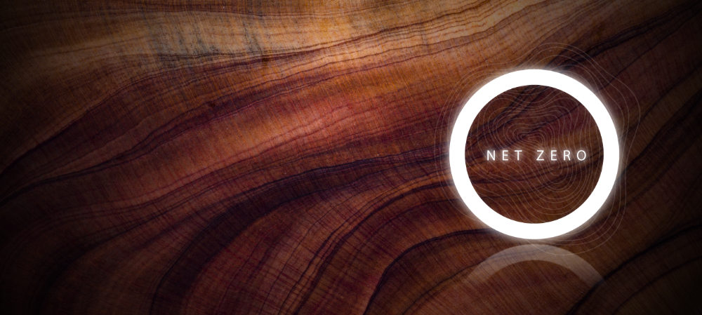 DBS Net Zero Commitment for a Low-Carbon Future