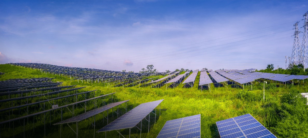 The Role of Sustainable Finance in Net Zero Journey