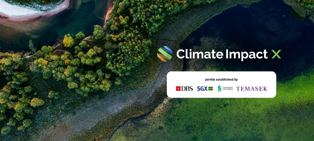 Climate Impact X (CIX): International Carbon Exhange and Marketplace
