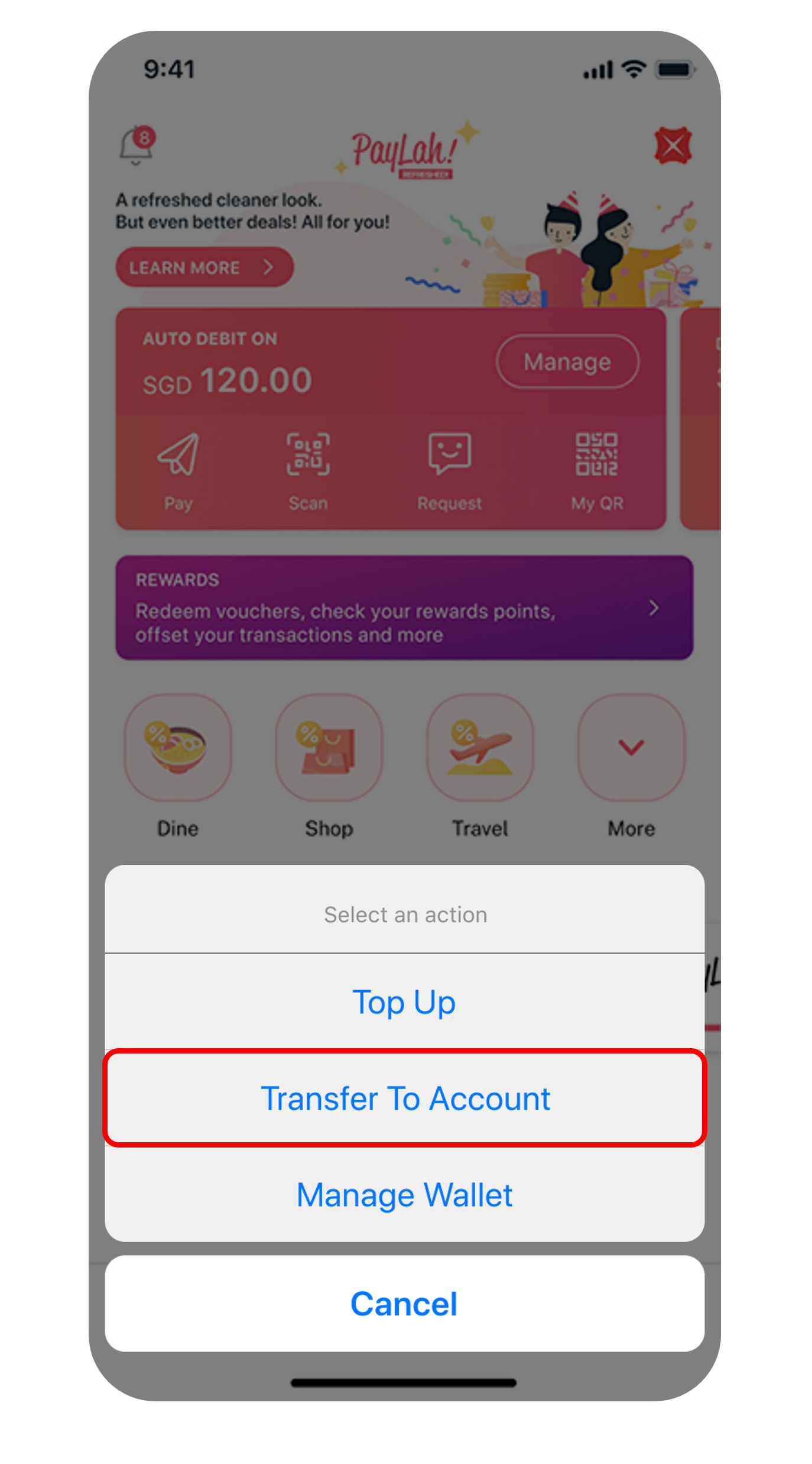 Manage DBS PayLah! Account | DBS Singapore