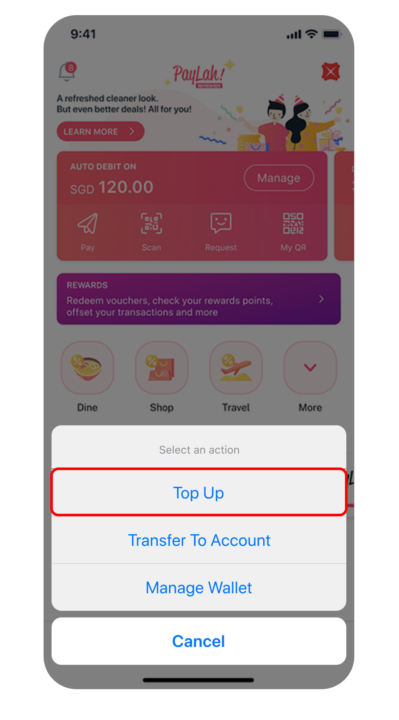 Manage DBS PayLah! Account | DBS Singapore