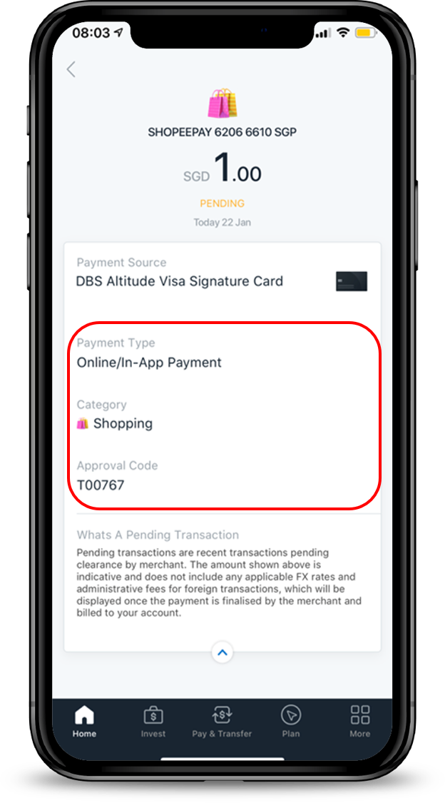 Check Credit Card Transaction Details | DBS Singapore
